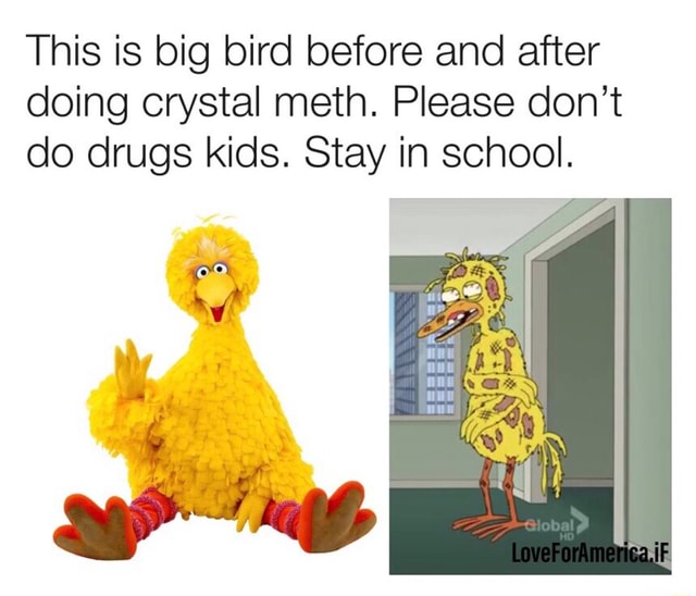 This is big bird before and after doing crystal meth. Please don’t do ...