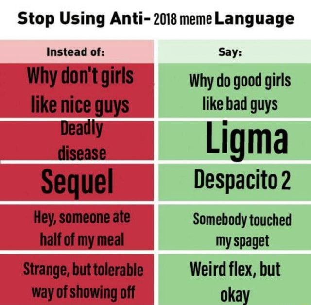 Stop Using Anti- 2018 meme Language Instead 01‘: Say: Why do good girls ...