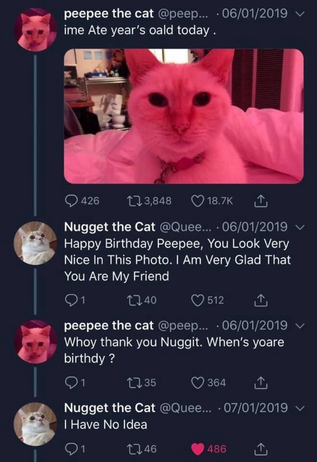 SS Peepee the cat Gpeep... 06/01/2019 w 3 ime Ate year's oald today ...