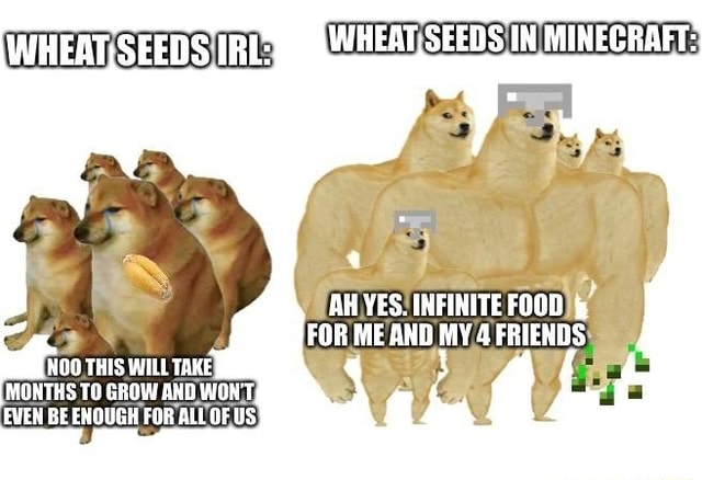 WHEAT,SEEDS IRL: AH YES. INFINITE FOOD FOR ME AND wa FRIENDS NOO THIS ...