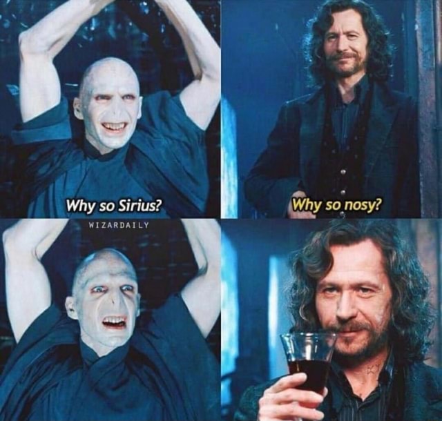 Why so Sirius? Why so nosy? WIZARDAILY - iFunny