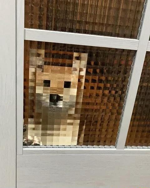 Y'all got any more of them pixels? - iFunny