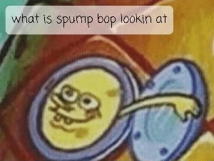 What is Spump bap lookin at - iFunny