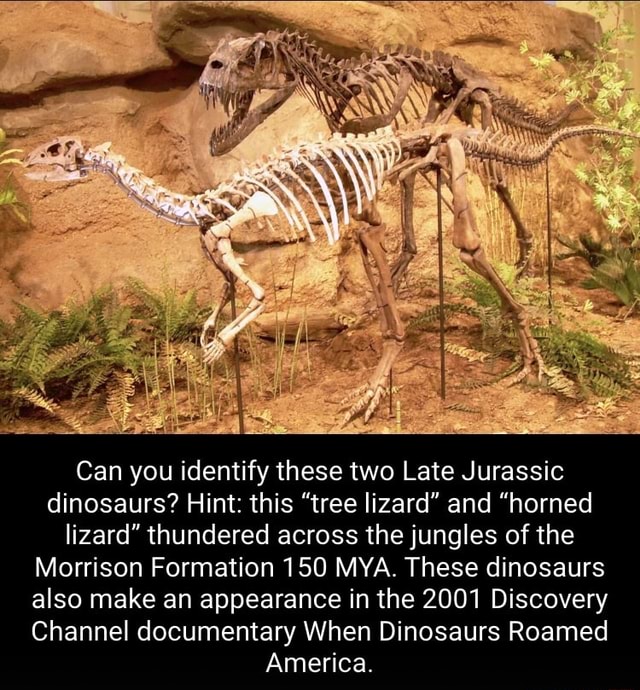 Can you identify these two Late Jurassic dinosaurs? Hint: this "tree ...