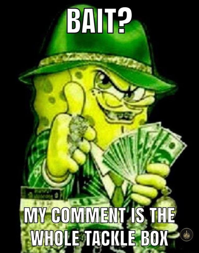 BAIT? ANS MY COMMENT IS THE WHOLE TACKLE BOX - iFunny