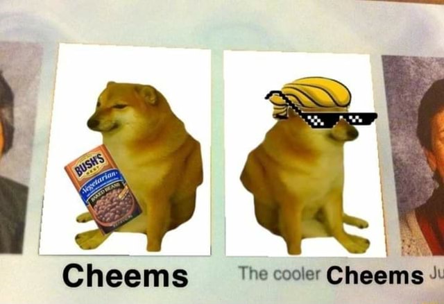 Cheems The cooler Cheems - iFunny