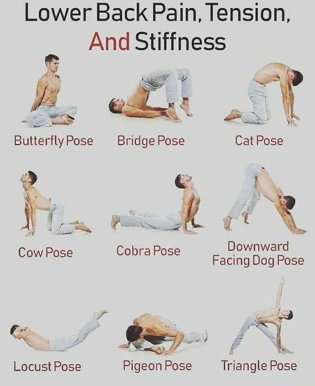 Lower Back Pain, Tension, And Stiffness ButterflyPose Bridge Pose Cat ...