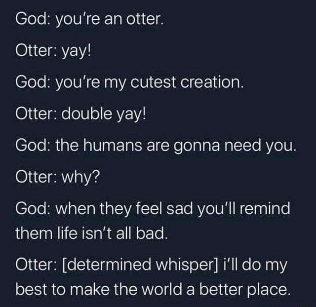 God: you're an otter. Otter: yay! God: you're my cutest creation. Otter ...