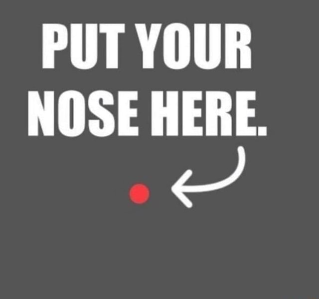 PUT YOUR NOSE HERE. - iFunny
