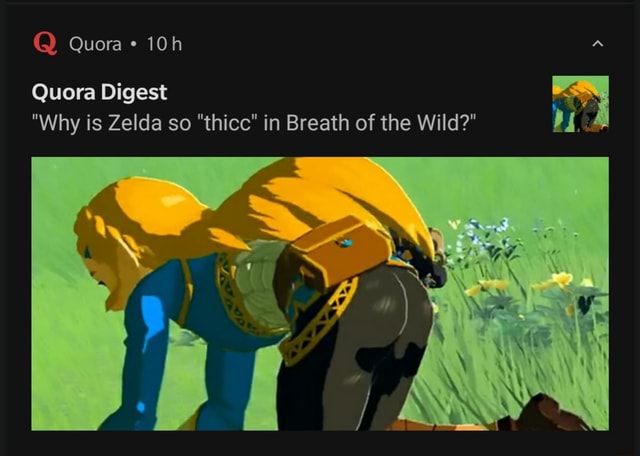 Quora Digest Why Is Zelda So Thicc In Breath Of The Wild Ifunny
