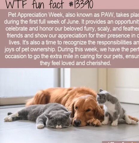 Pet Appreciation Week, also known as PAW, takes plac during the first ...