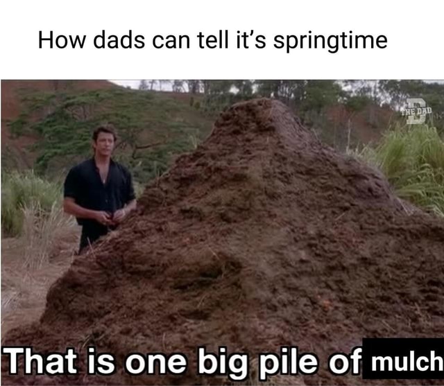 The reason for the season - How dads can tell it's springtime That is ...