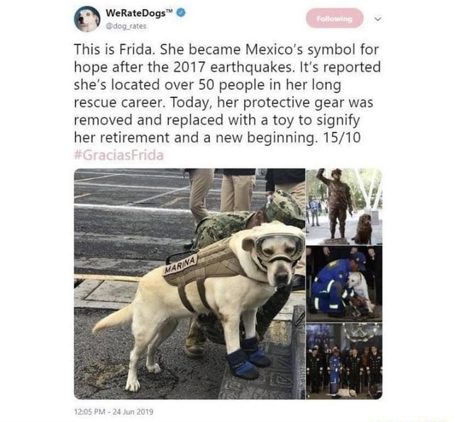 @dog .rate This is Frida. She became Mexico's symbol for hope after the ...