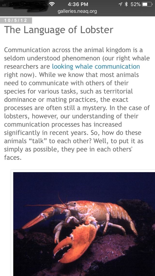 The Language of Lobster Communication across the animal kingdom is a ...