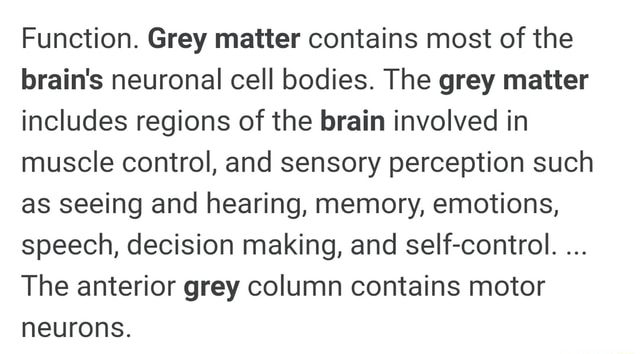Function. Grey matter contains most of the brain's neuronal cell bodies ...