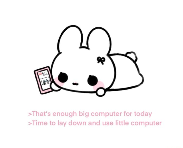 >That's enough big computer for today Time lay down and use computer ...