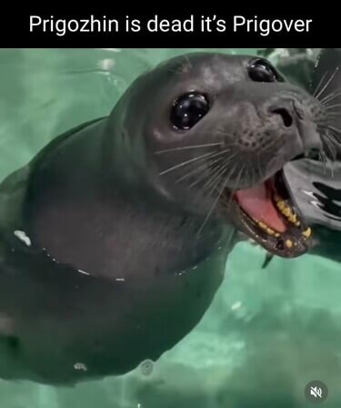 Prigozhin is dead it's Prigover - iFunny