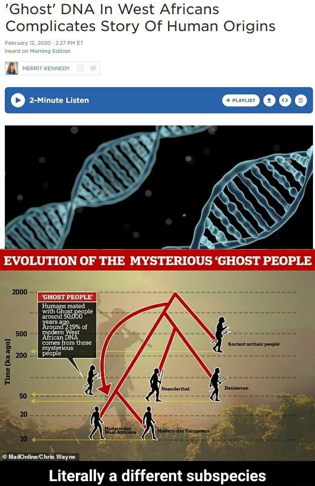 'Ghost' DNA In West Africans Complicates Story Of Human Origins 2minute ...