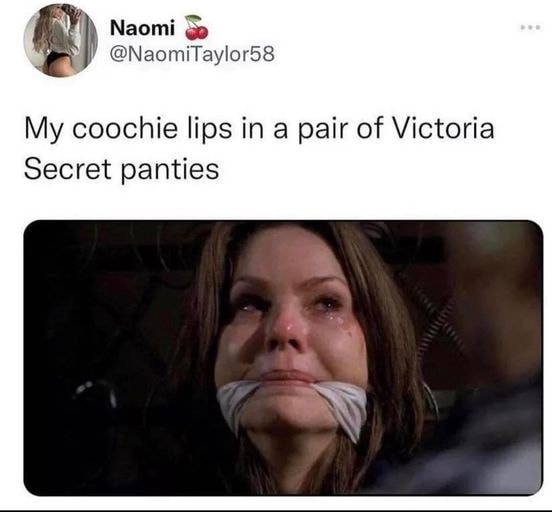 My coochie lips in a pair of Victoria Secret panties - America’s best ...