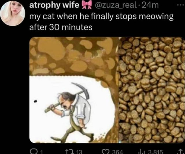 Atrophy wife @zuza_real-24m my cat when he finally stops meowing after ...