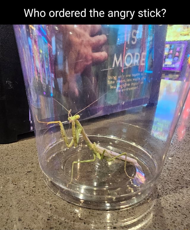 Ck? Who ordered the angry st - iFunny