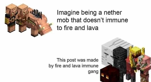 Imagine being a nether mob that doesn't immune to fire and lava This ...