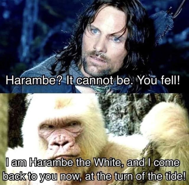 Harambes? It cannot be. You fell! vambe the White, arid I come backste ...