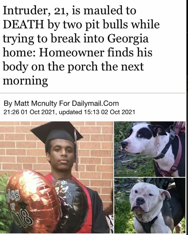 Intruder, 21, is mauled to DEATH by two pit bulls while trying to break ...