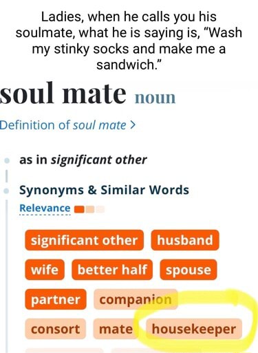 Ladies, when he calls you his soulmate, what he is saying is, "Wash my ...