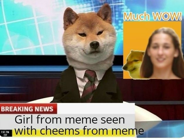 Much BREAKING NEWS Girl from meme seen wa with cheems from meme - iFunny