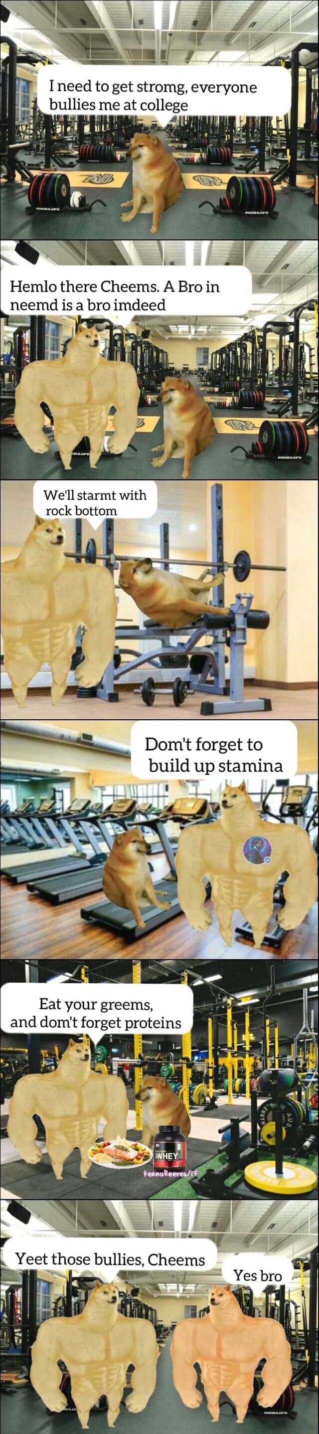 I need to get stromg, everyone me at Hemlo there Cheems. A Bro in neemd ...