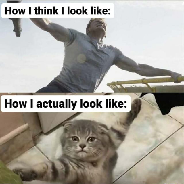 How think look like: How actually look like: - iFunny