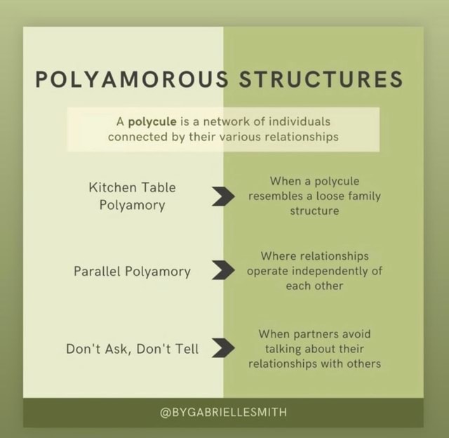 POLYAMOROUS STRUCTURES A polyeule is a network of individuals connected ...