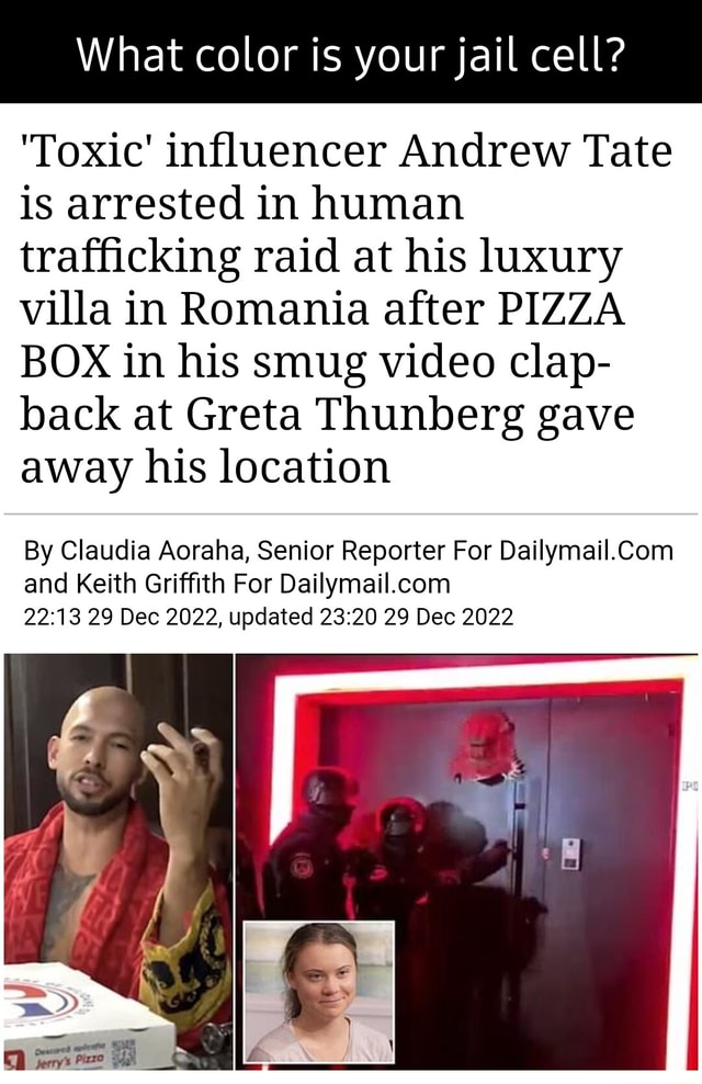 What color is your jail cell? 'Toxic' influencer Andrew Tate is ...