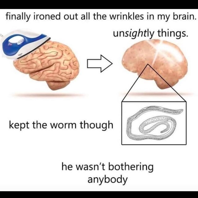 Finally ironed out all the wrinkles in my brain. unsightly things. he ...