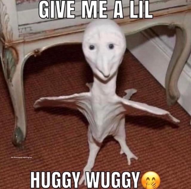 GIVE ME LIL HUGGY WUGGY - iFunny