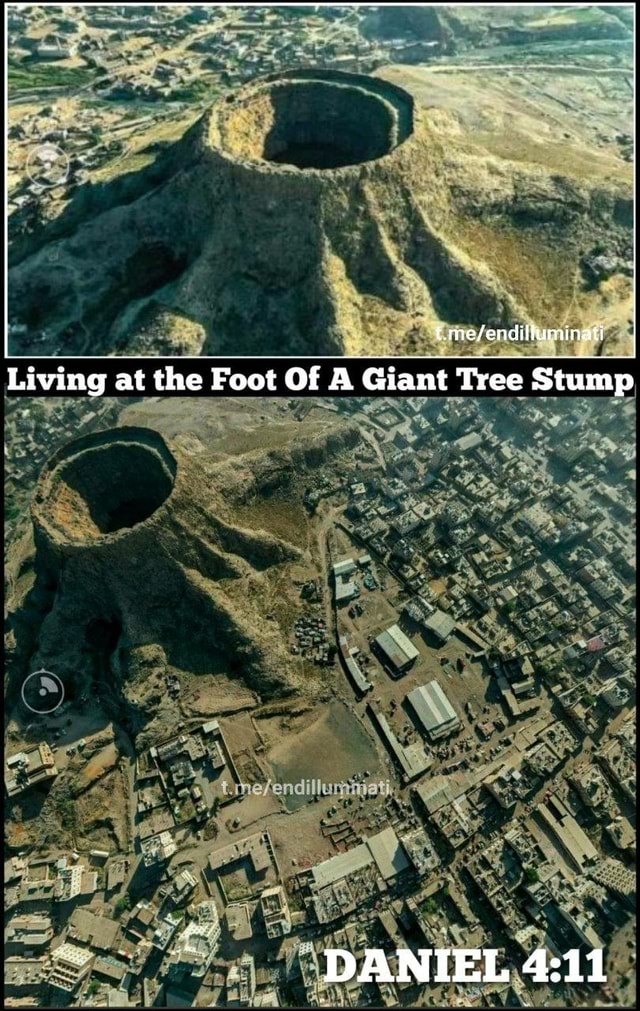 Living at the Foot Of A Giant Tree Stump DANIEL - iFunny