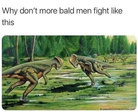 Why don't more bald men fight like this - iFunny Why don't more bald men fight like this - iFunny