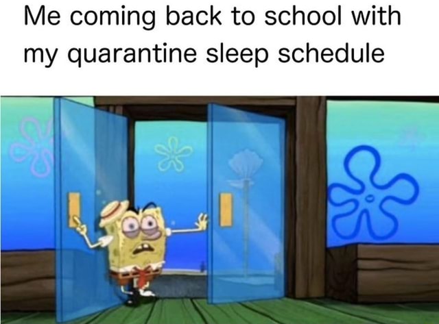 Me coming back to school with my quarantine sleep schedule - iFunny