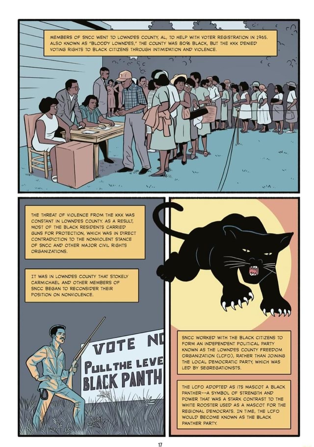 True Story of the Black Panther Party - SS. MEMBERS OF SNCC WENT TO ...