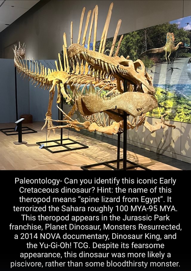 Paleontology- Can you identify this iconic Early Cretaceous dinosaur ...