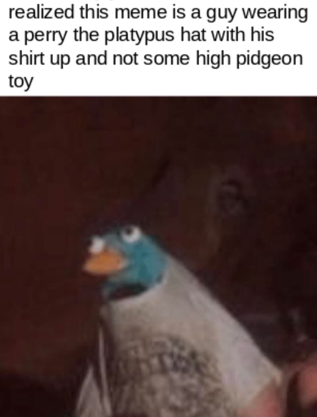 Realized this meme is a guy wearing a perry the platypus hat with his ...