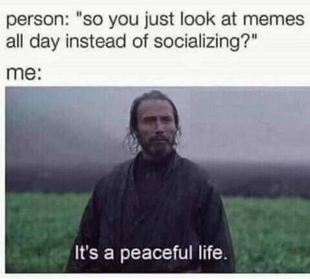 Person: "so you just look at memes all day instead of socializing?" me ...