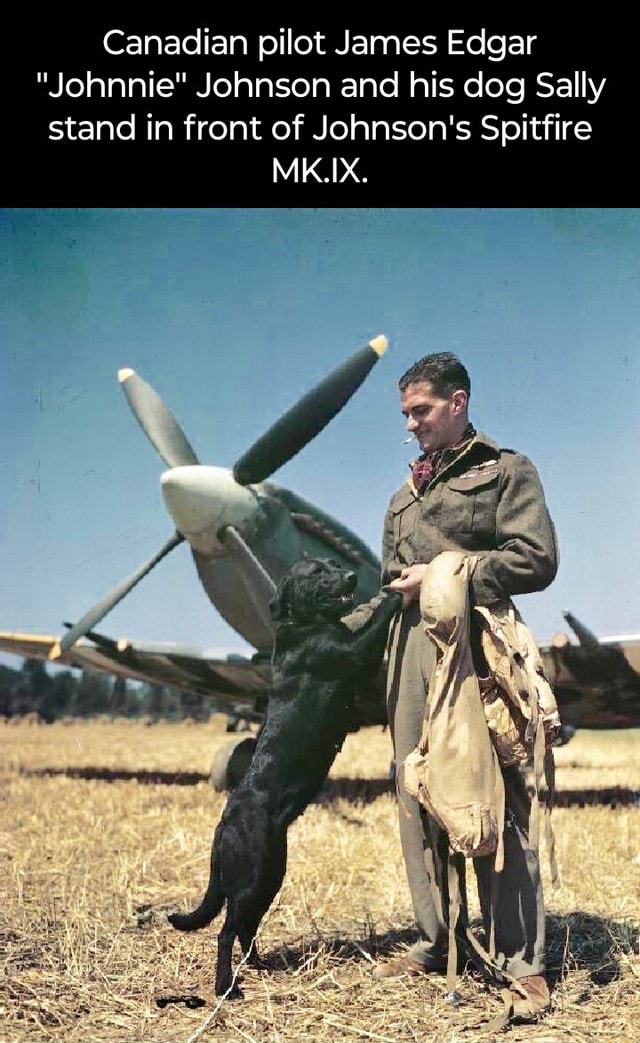 Canadian pilot James Edgar "Johnnie" Johnson and his dog Sally stand in ...