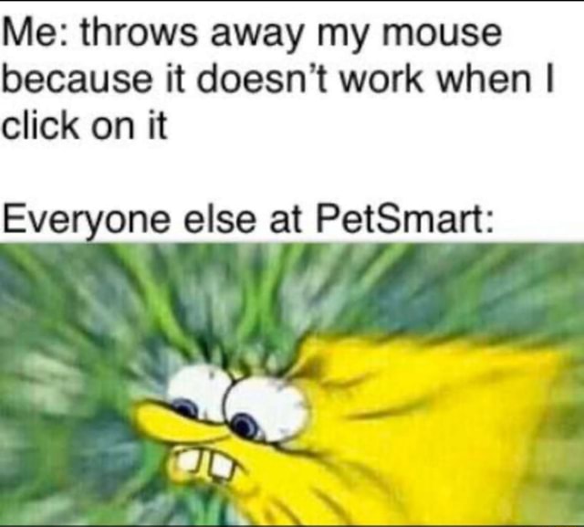 Me: throws away my mouse because it doesn’t work when I click on it Eve ...