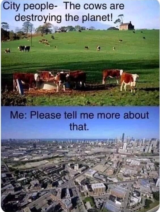 City people- The cows are destroying the planet! ye se tell me more ...