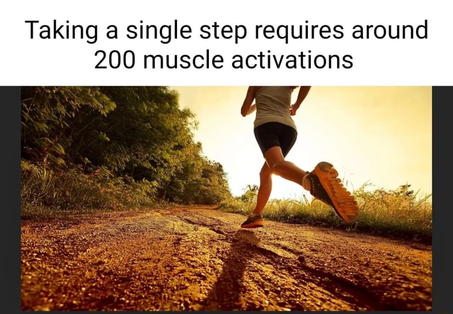 Taking a single step requires around 200 muscle activations - iFunny