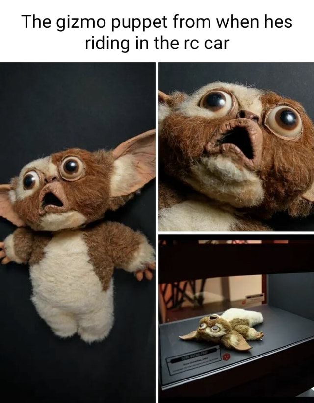 The gizmo puppet from when hes riding in the re car - iFunny