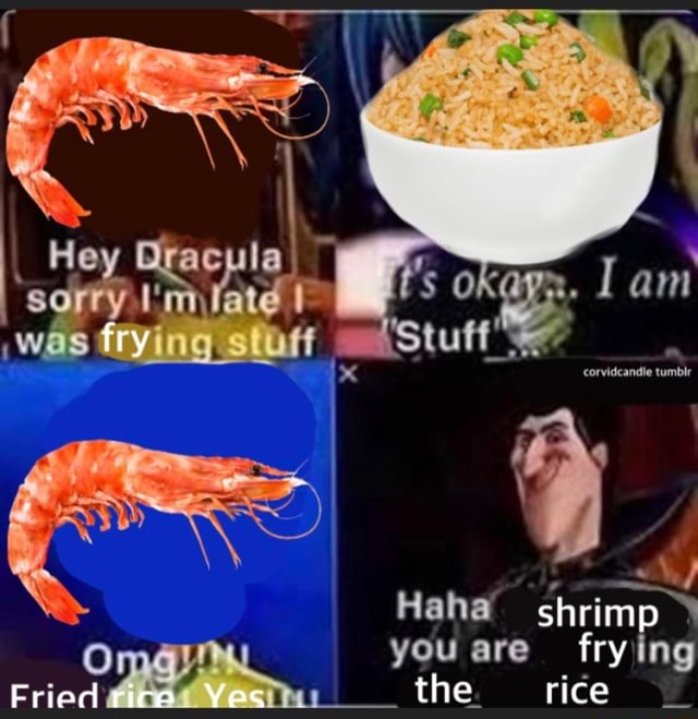 Fry shrimp fry Haha Fried rice Yes the rice - iFunny