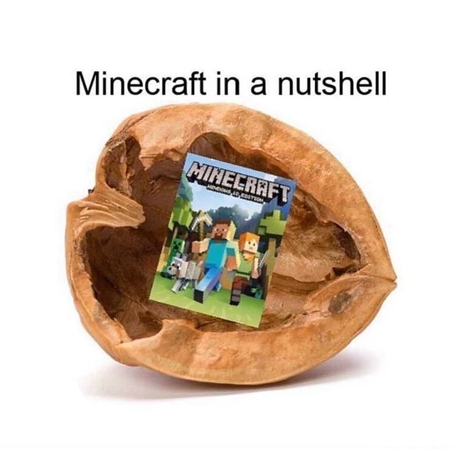 Minecraft in a nutshell - America’s best pics and videos